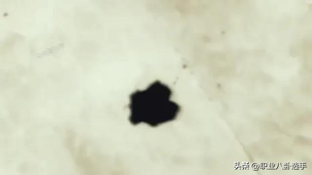 The American stewardess disappeared, and the Chinese detective Li ...