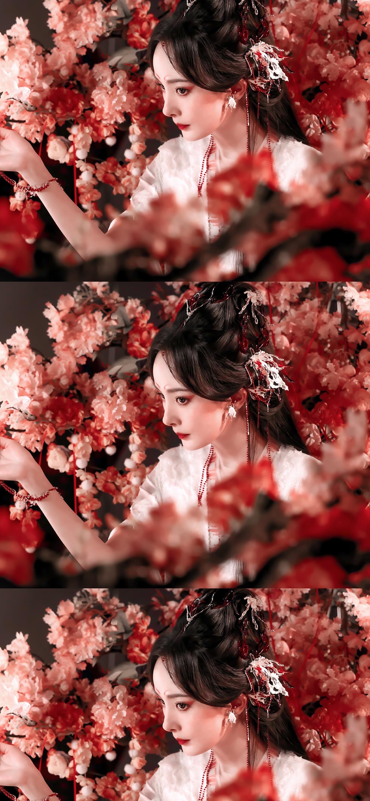 Yang Mi wallpaper | red antique dress - iMedia