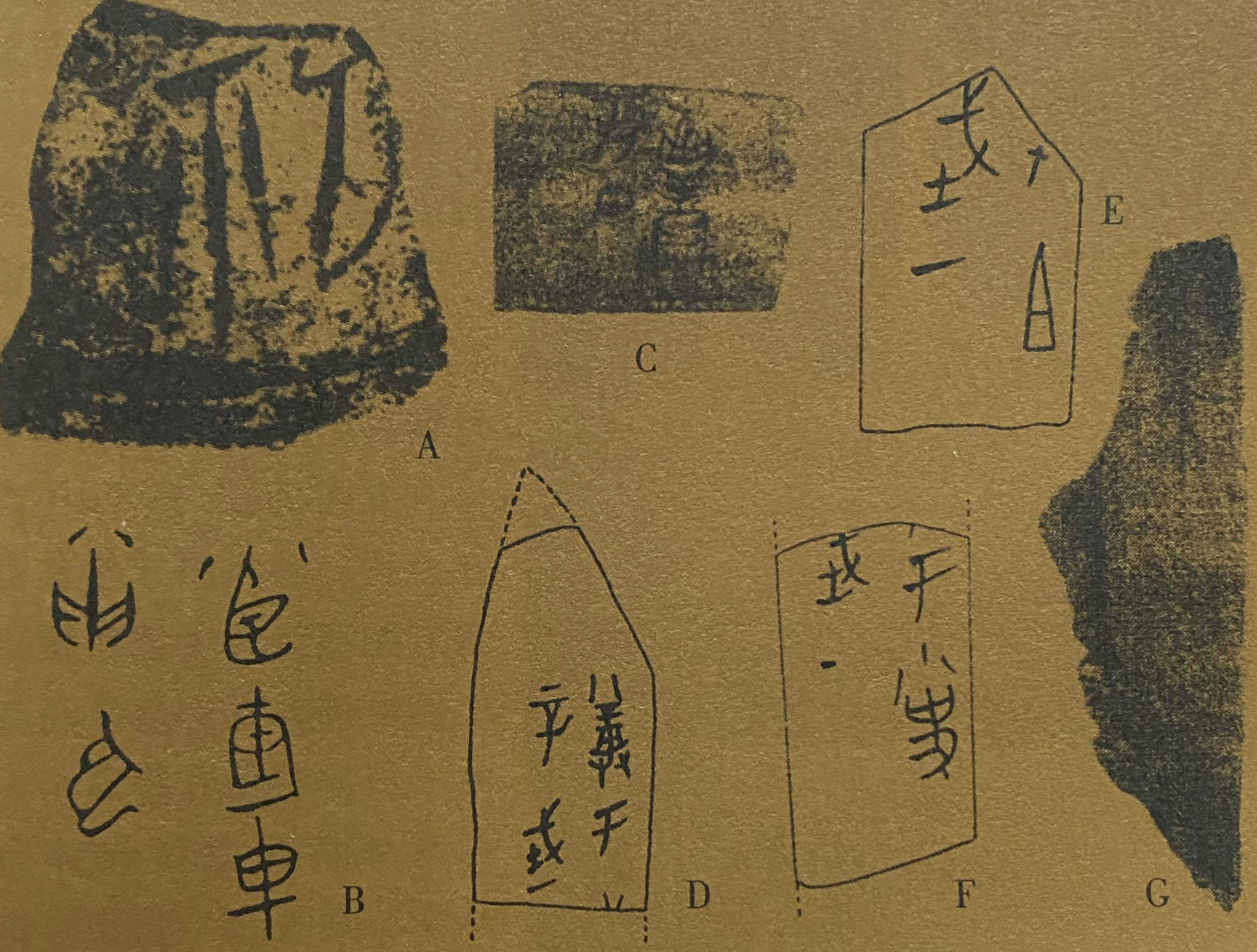 "History of Chinese Calligraphy": Oracle Bone Inscription "Ink" - iNEWS