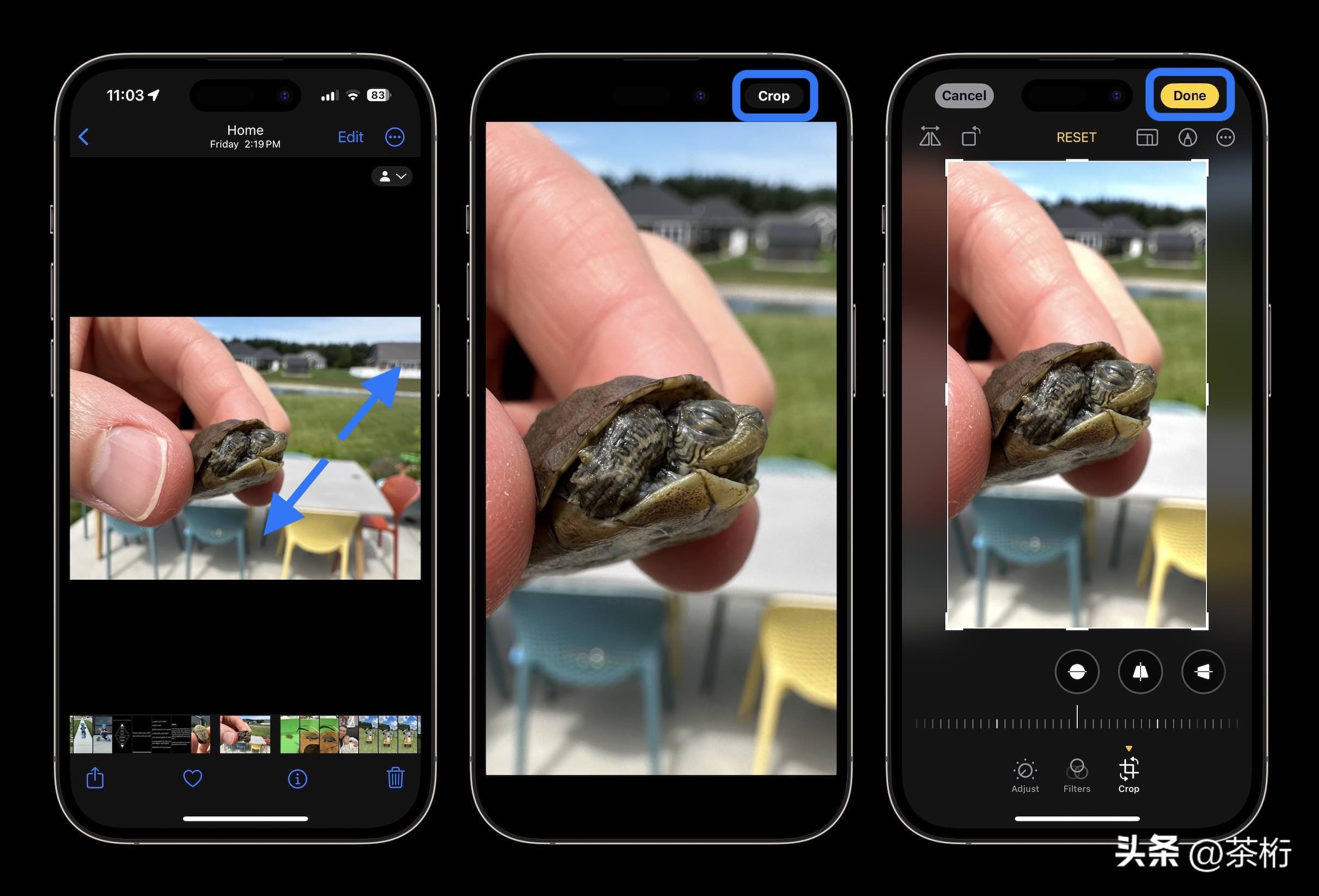 Here's how to use Quick Crop on the iPhone's Photos app in iOS 17 - iMedia