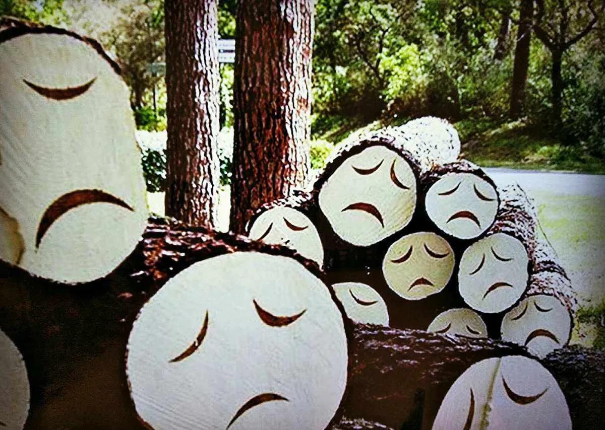 Children tell us with rich imagination: a world without trees will lose ...