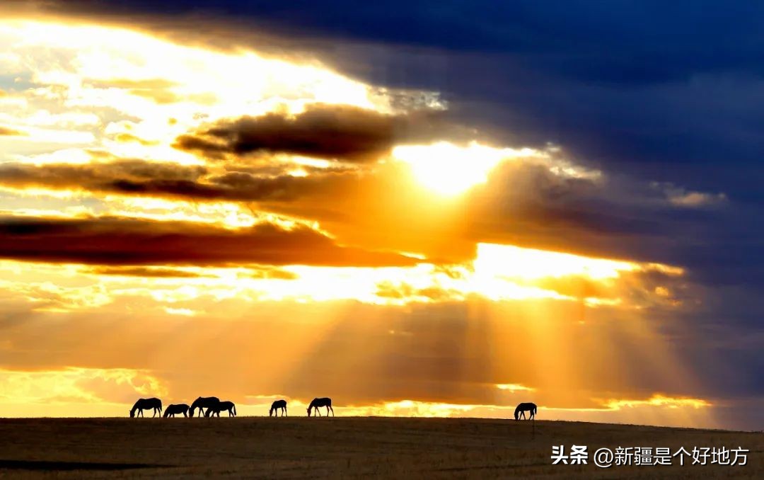 The autumn color of the grassland is really beautiful, take a look and ...