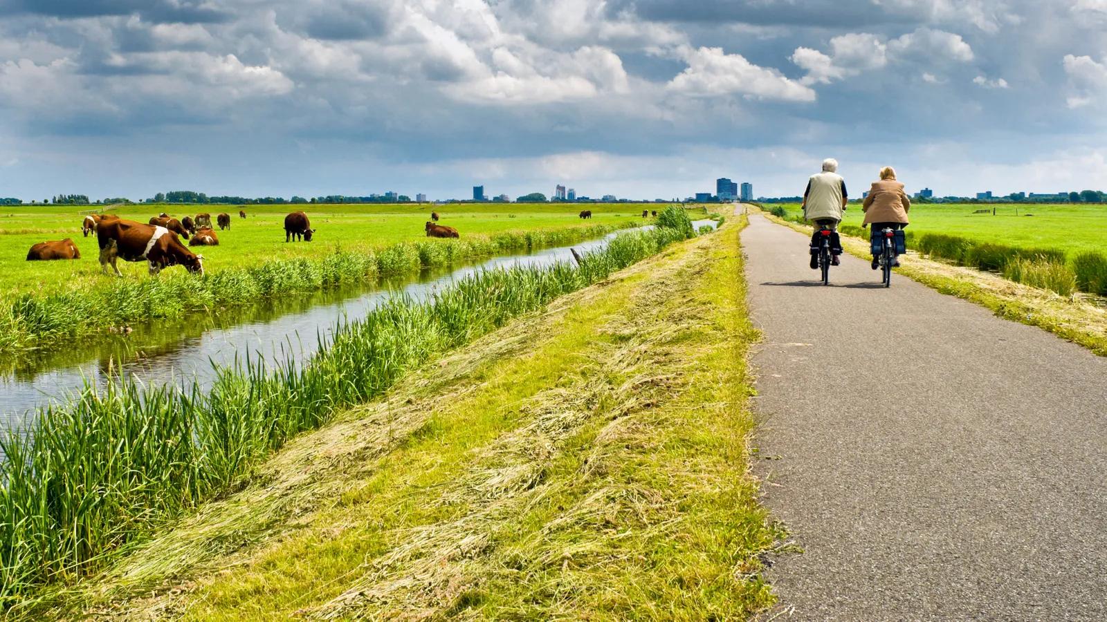 Why did the Dutchman, the shortest man in Europe, become the tallest ...