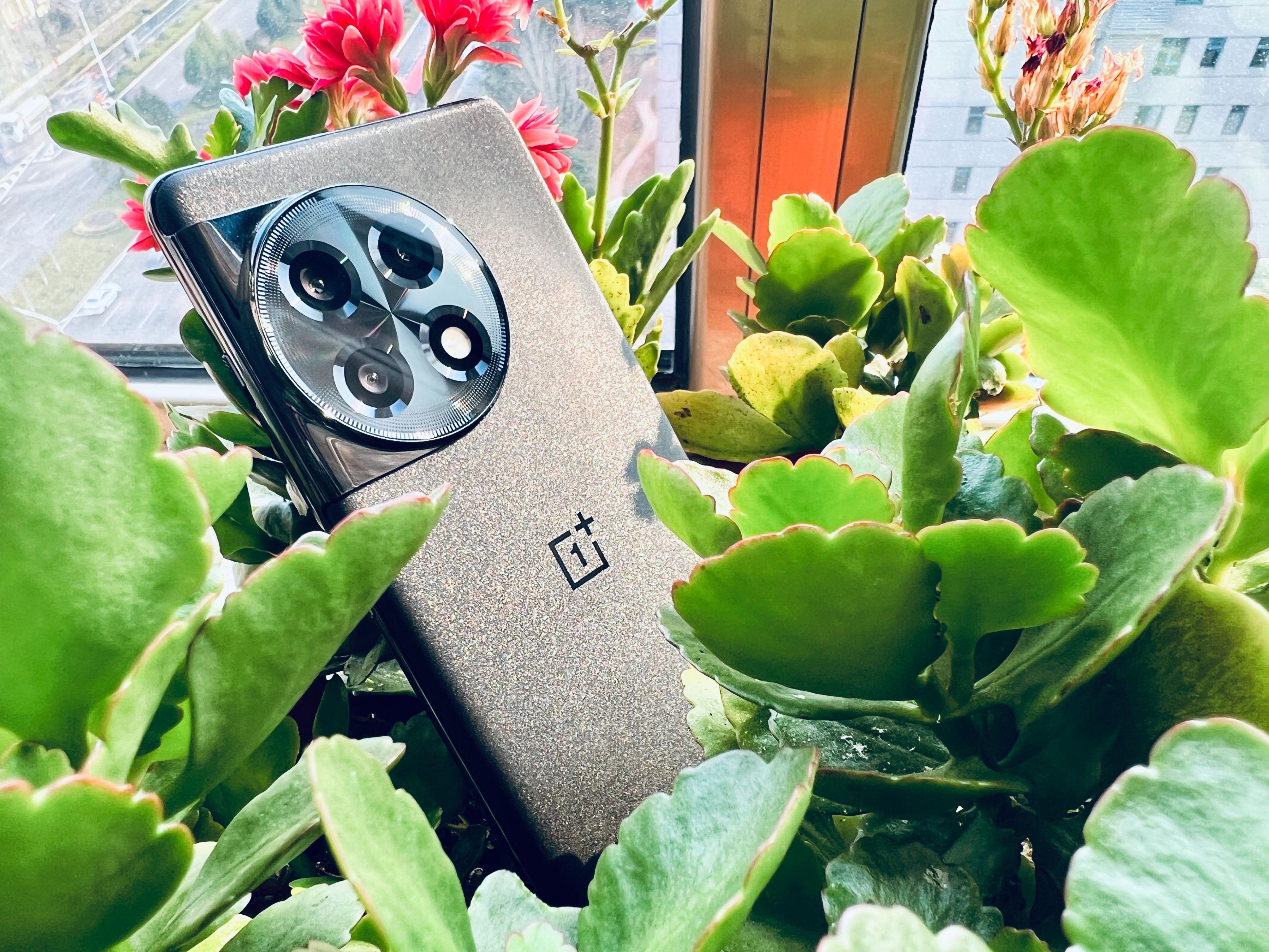 "Product strategy and capital game" analysis of OnePlus mobile phone ...