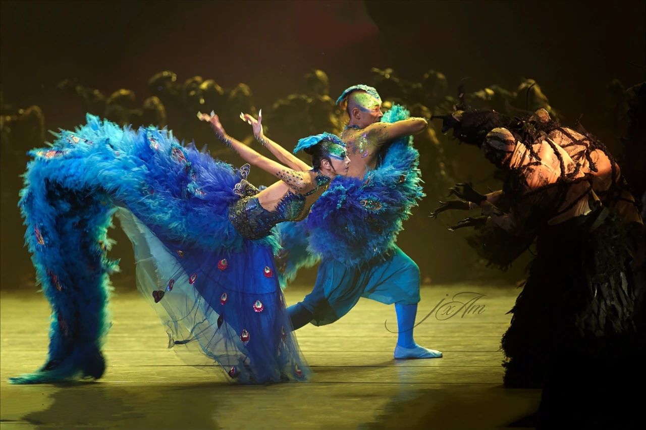 Yang Liping responds to the large-scale dance movement "Yin and Yang ...