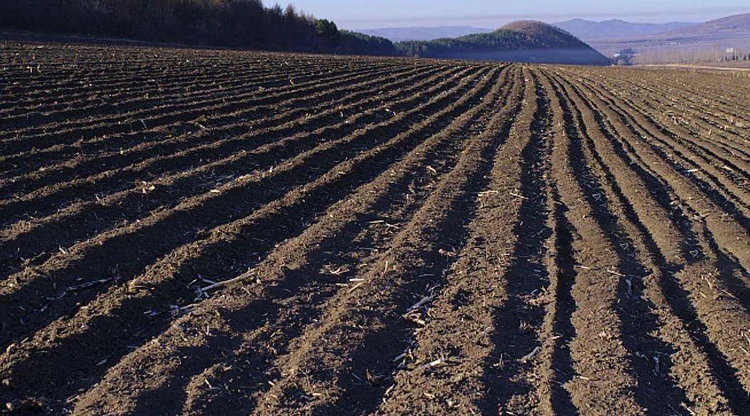 The story of Tianzuo: Wuchang rice, cooking fireworks in the world - iMedia