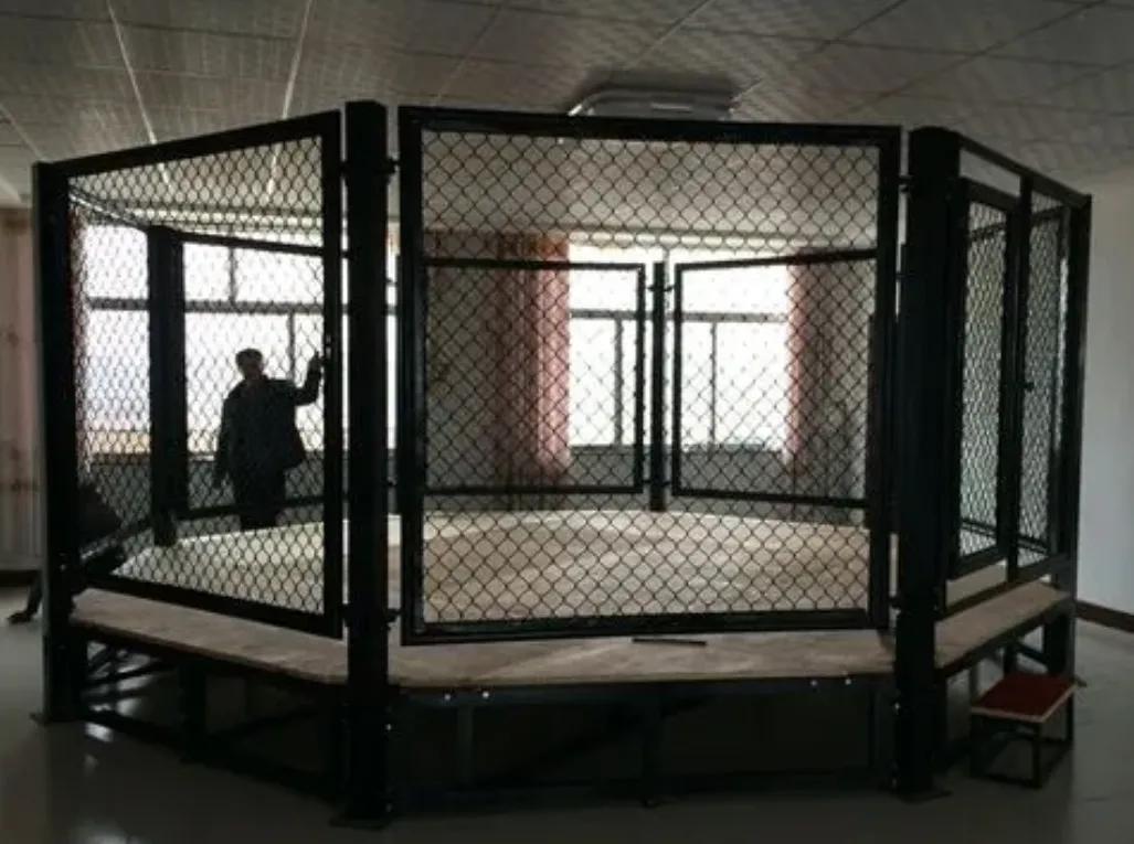 Watching "In the Octagonal Cage" reminds me of Bruce Lee - iMedia