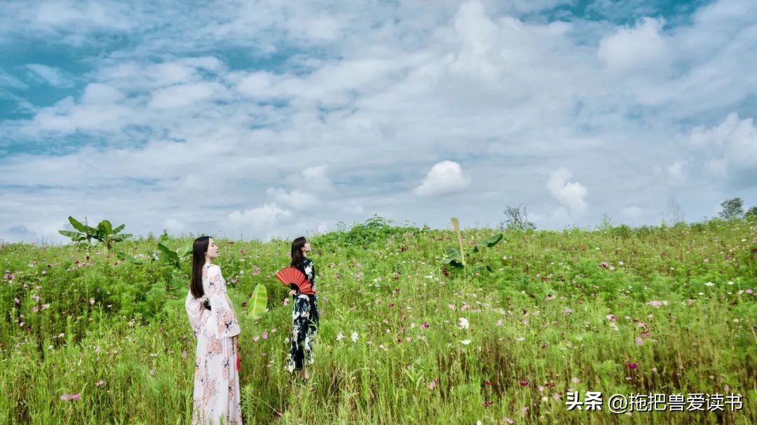 Level is the insurmountable gap between people - iMedia