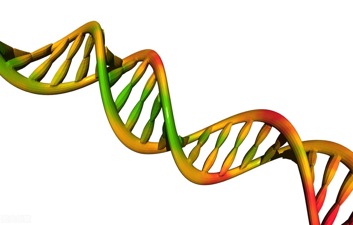 The development prospect of IAP inhibitor is good. xevinapant is ...