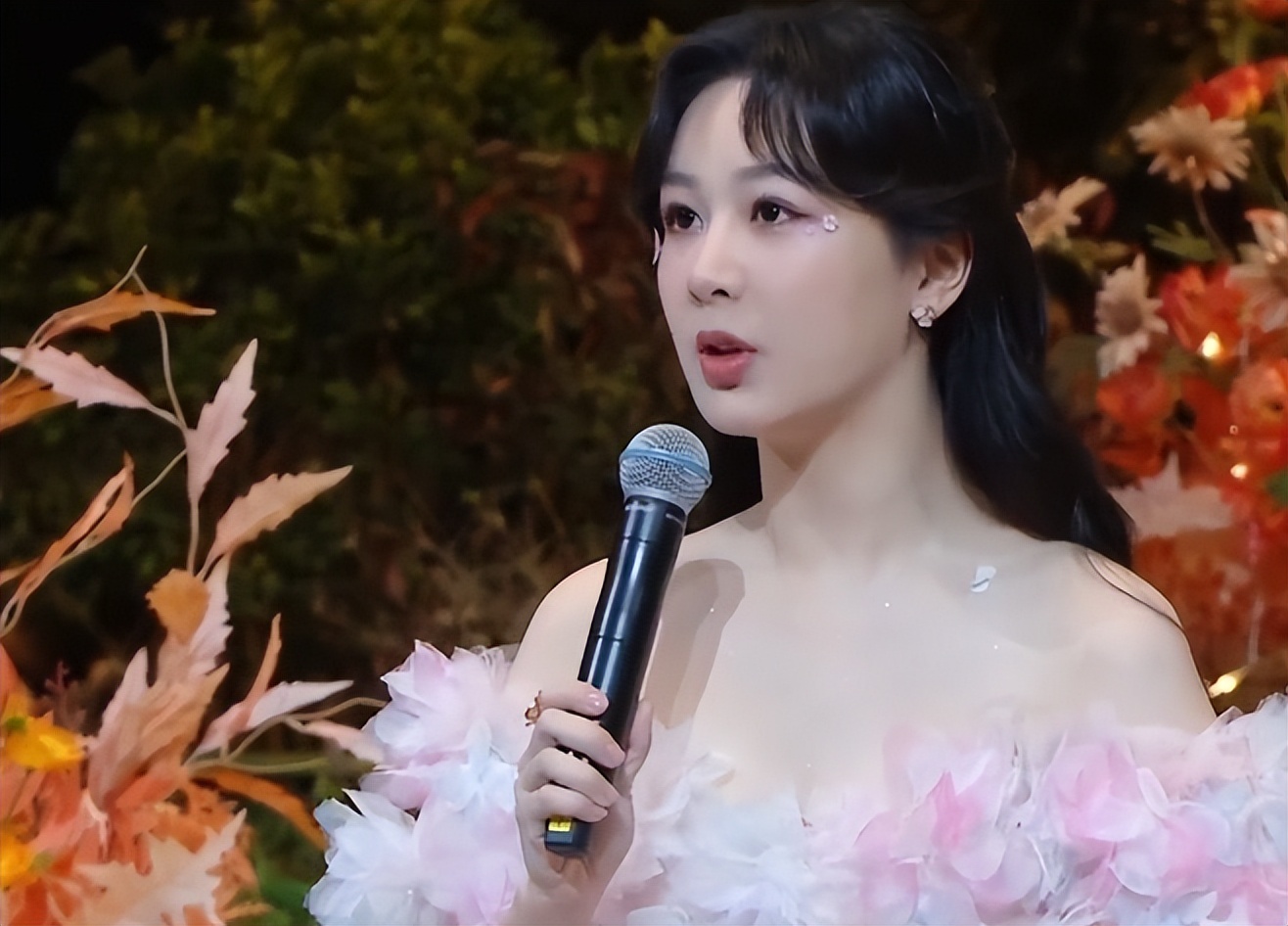 Hunan Satellite TV's New Year's Eve party: Wilber Pan was ridiculed for being fat, He Jiong was ...