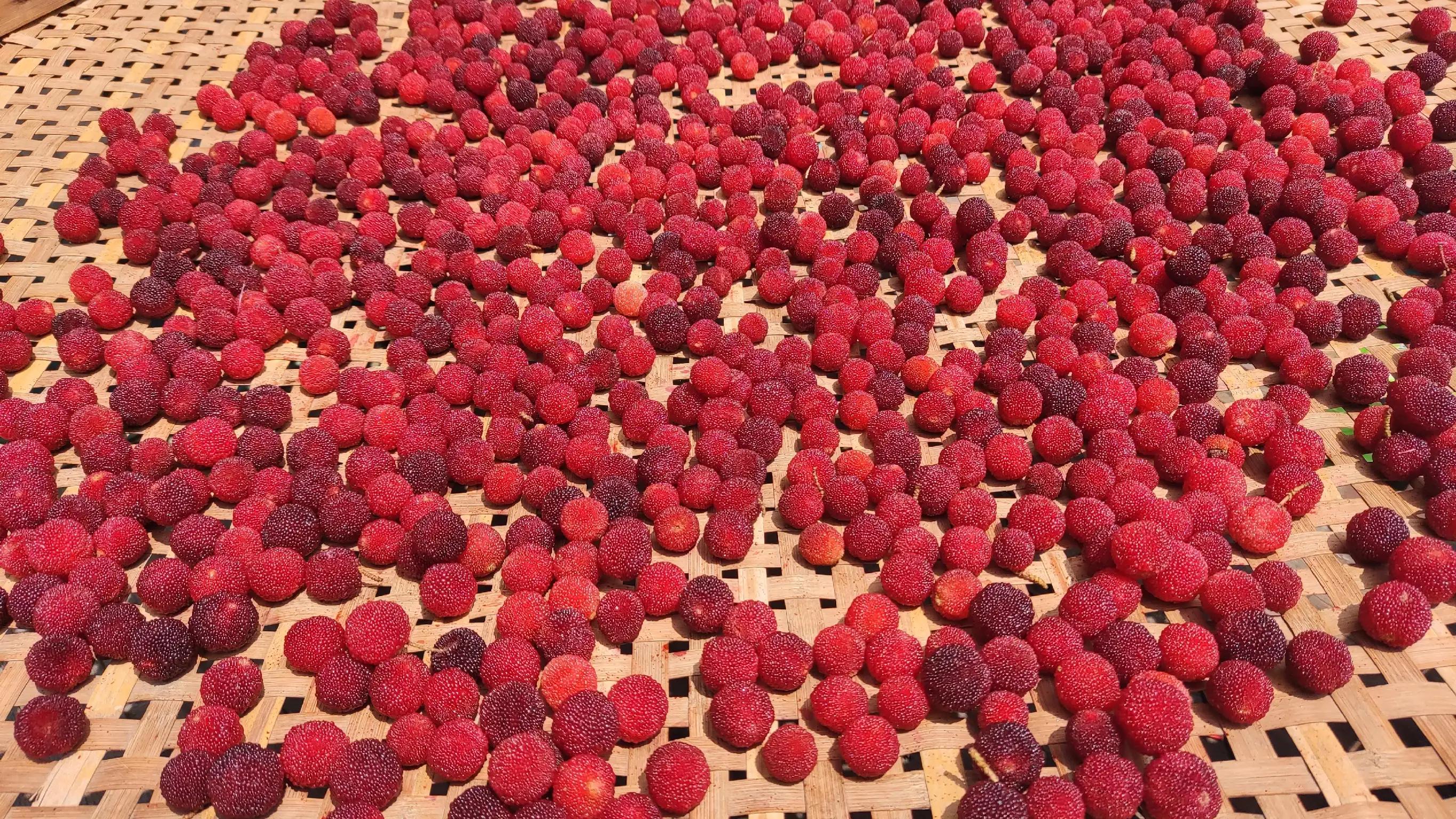 If you buy too much bayberry, you may not be able to finish it, so try ...