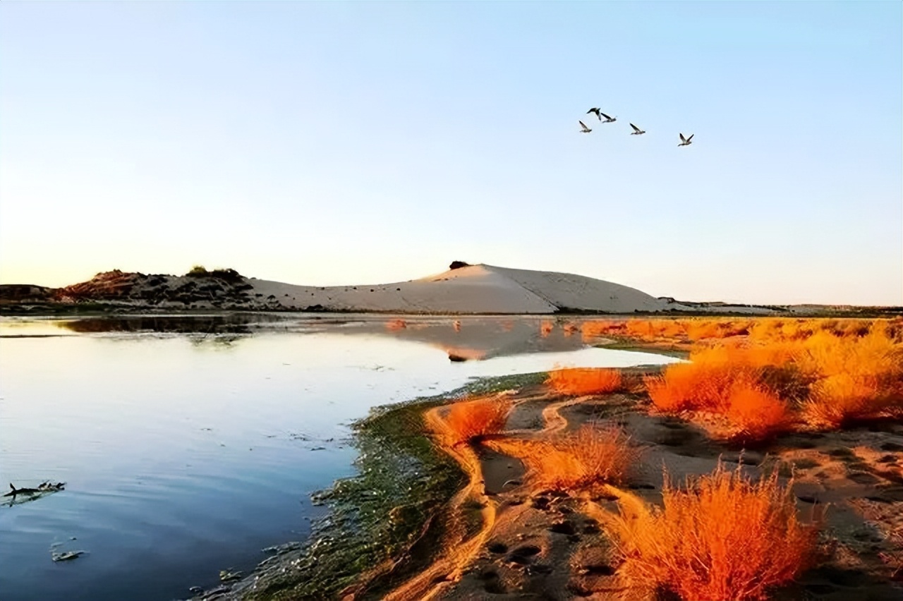 Walk into Dalaha, Alu Horqin Banner, and feel the unique scenery of the ...