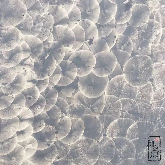 Fair-faced concrete finish | Material texture, tailor-made - iNEWS