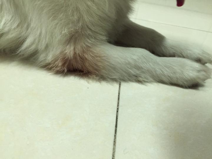 Gouzi: This elbow is bald, and I also want to be "grounded" - iNEWS