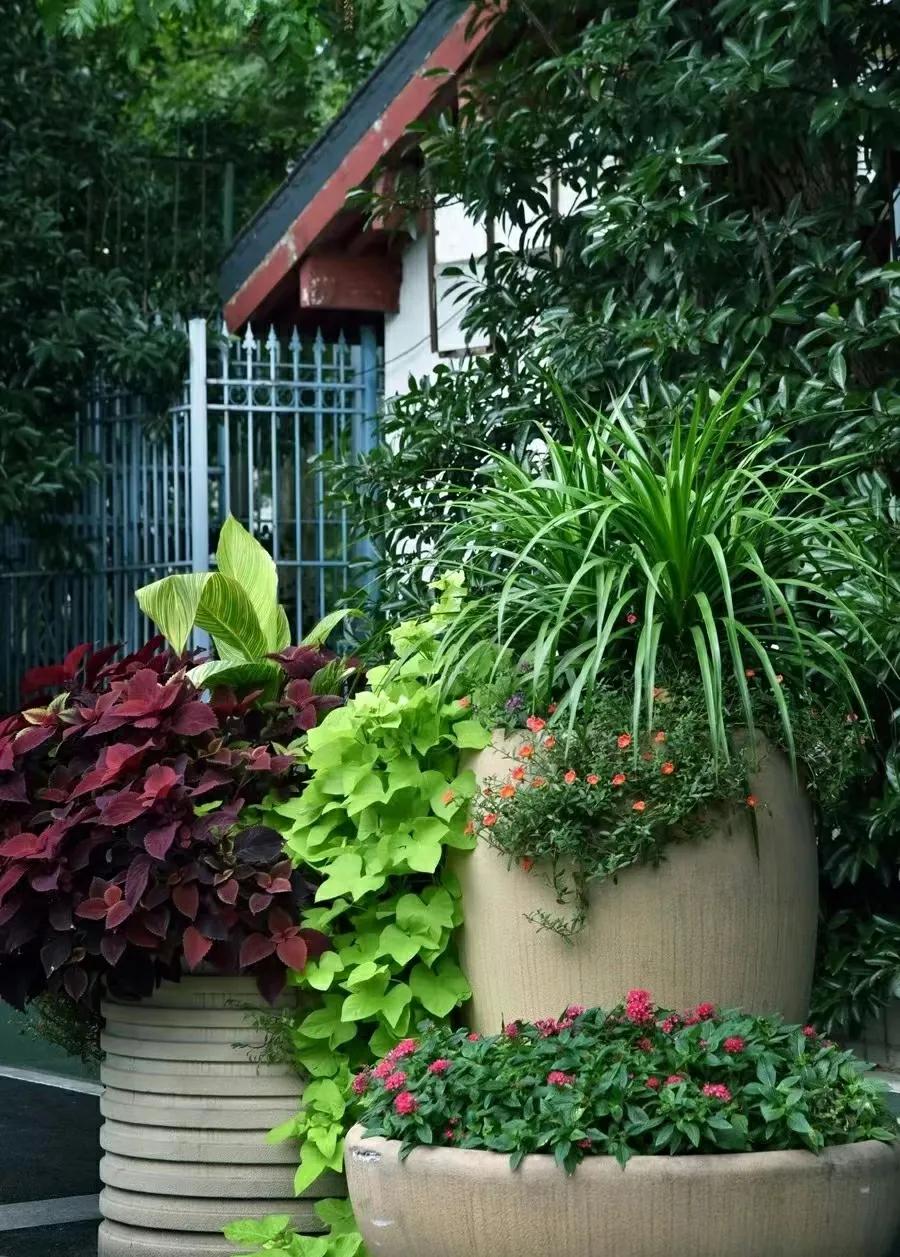 Drizzle to visit the North Pole Pavilion, cool and cool in summer - iNEWS