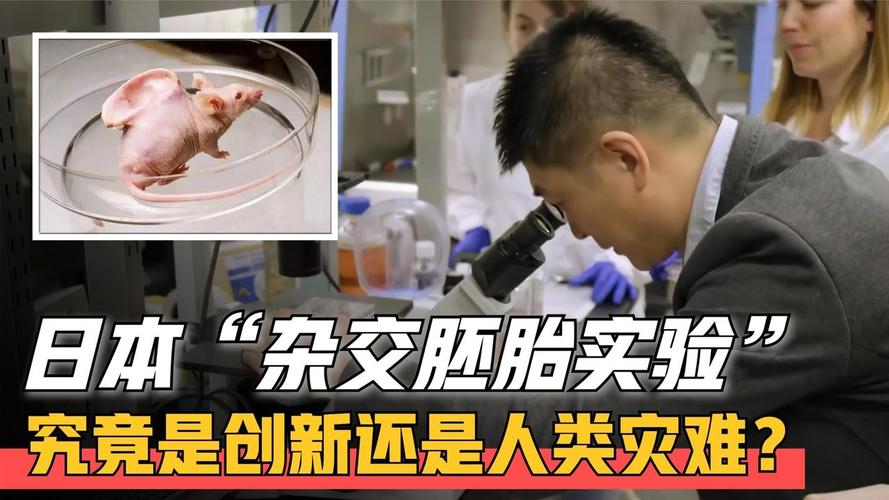 Humans and animals can really hybridize. Japan approves the "human ...