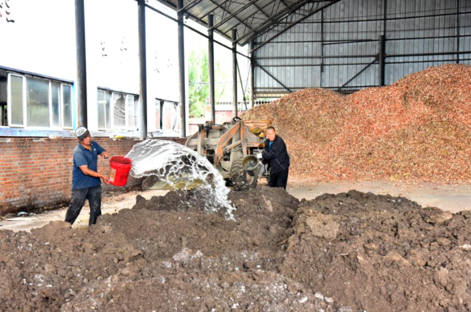 Jiang Zhenyu "Into Xinhe Village, Baoshou Town" - iNEWS