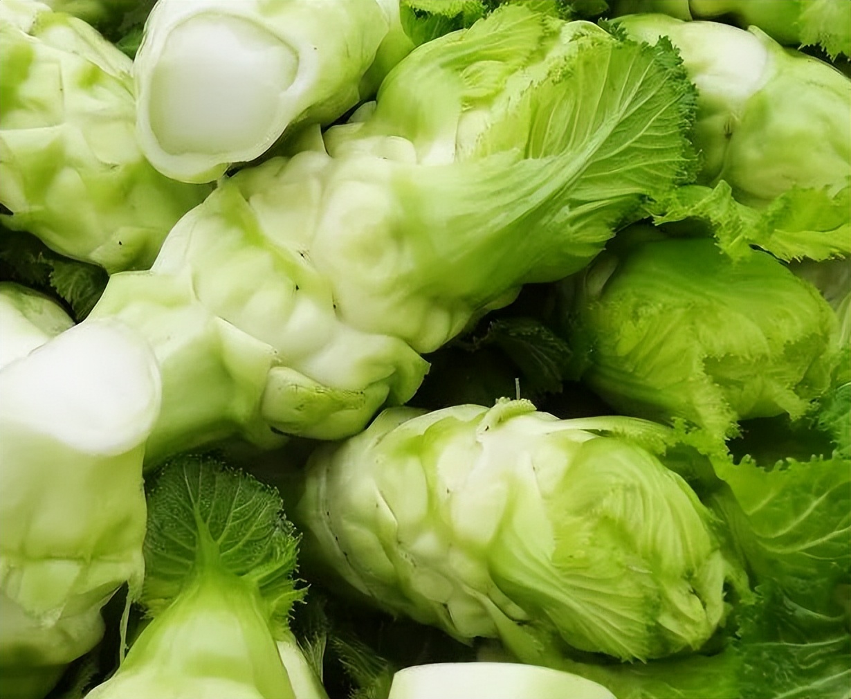 This dish is a treasure in spring, preventing colds and relieving ...