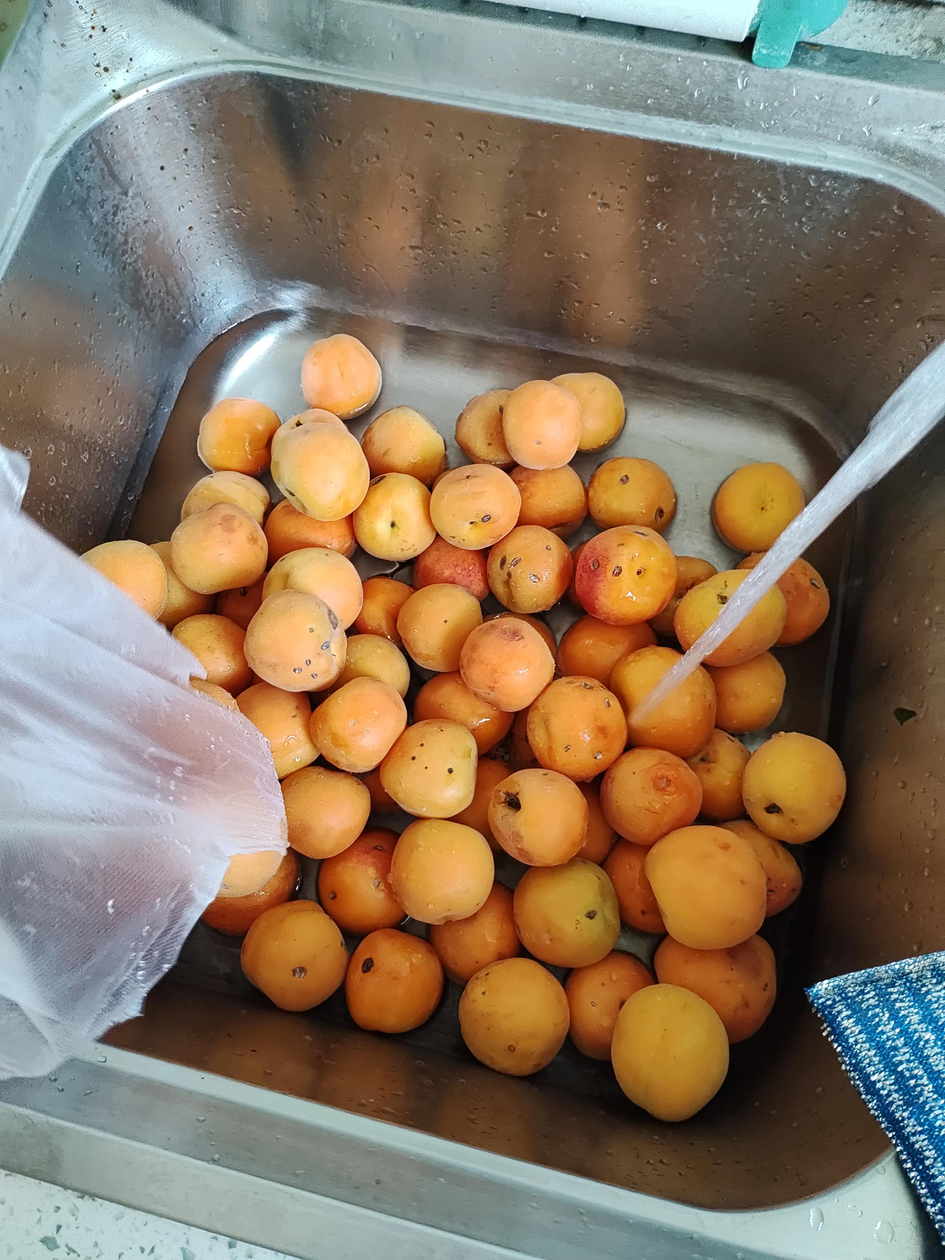 dried apricots - iMedia