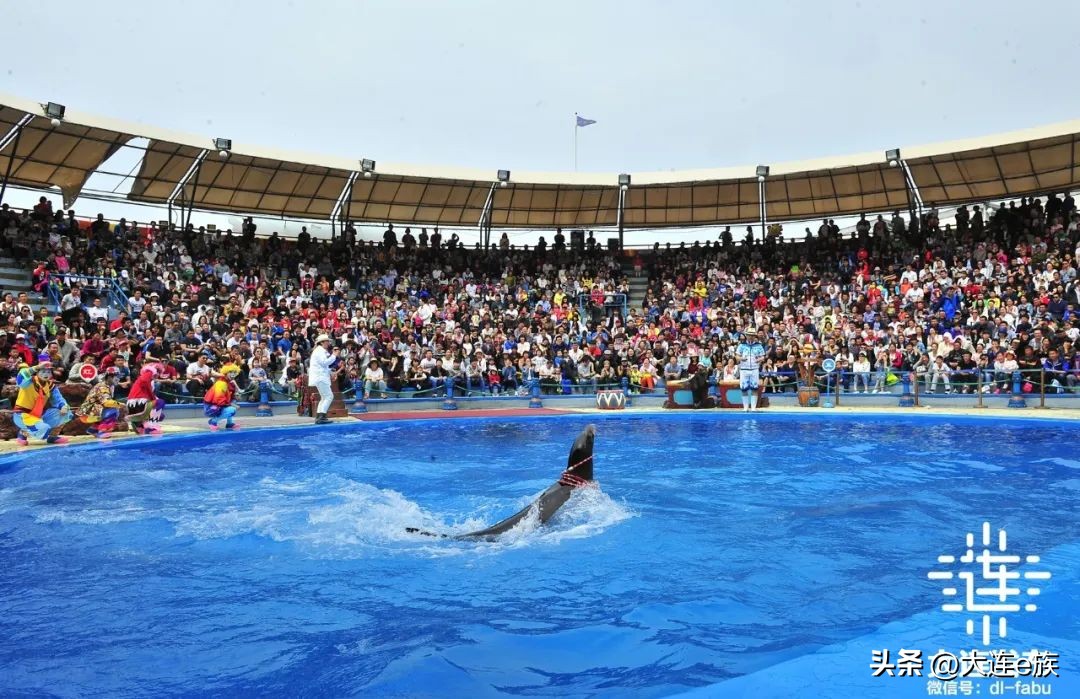 Top 10 Scenic Spots! "One Ticket Tour Dalian" is here! - iNEWS
