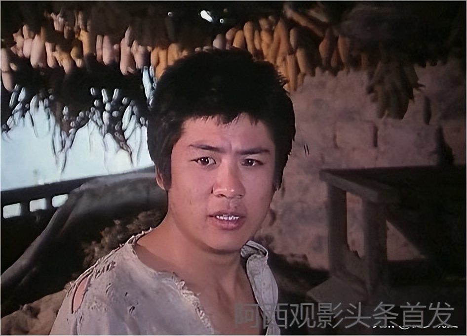 Actor Zhang Chao: Remarried and married a wife who was 20 years younger ...