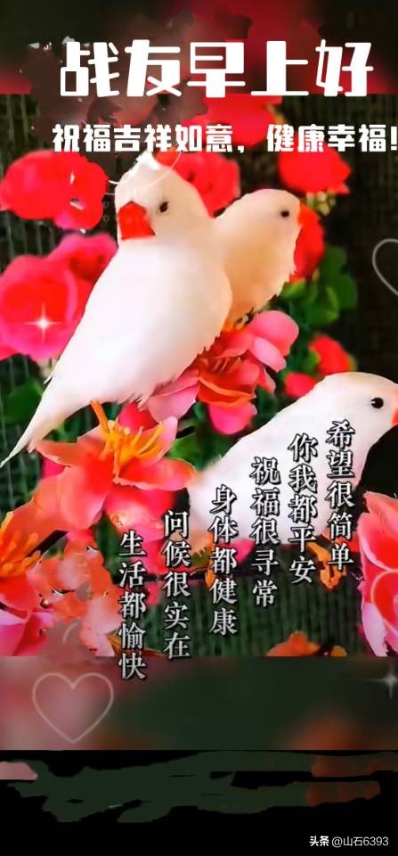 Forever 78th Division 62, the fire platoon hero comrade Zhou Guoping personally participated in ...