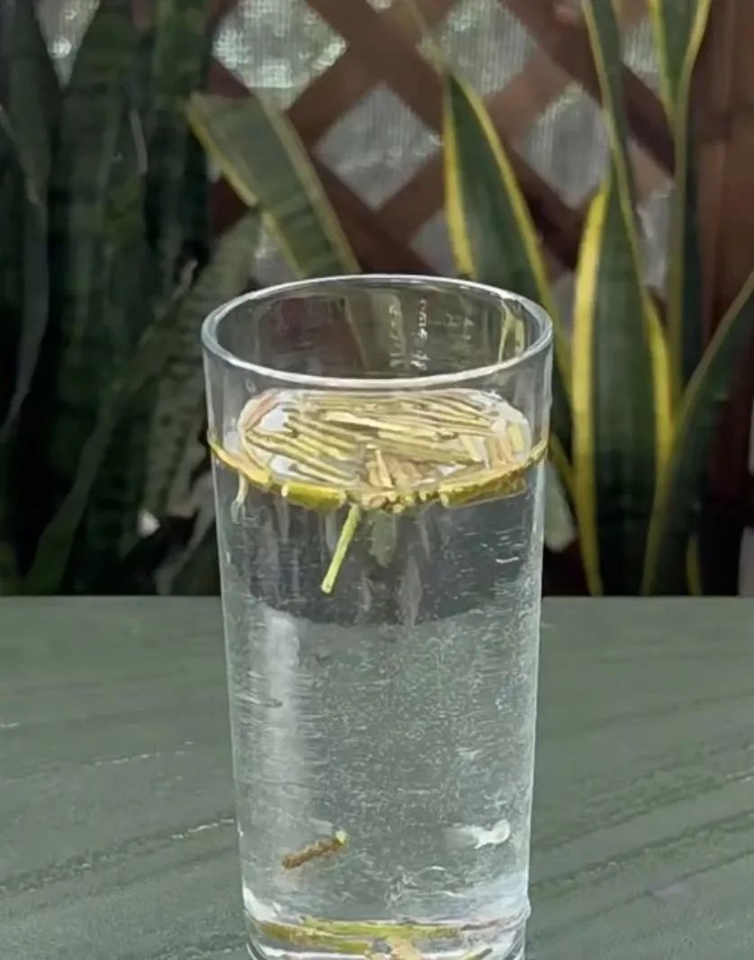 Don't worry about cutting in spring, 3 kinds of rooting agents are here ...