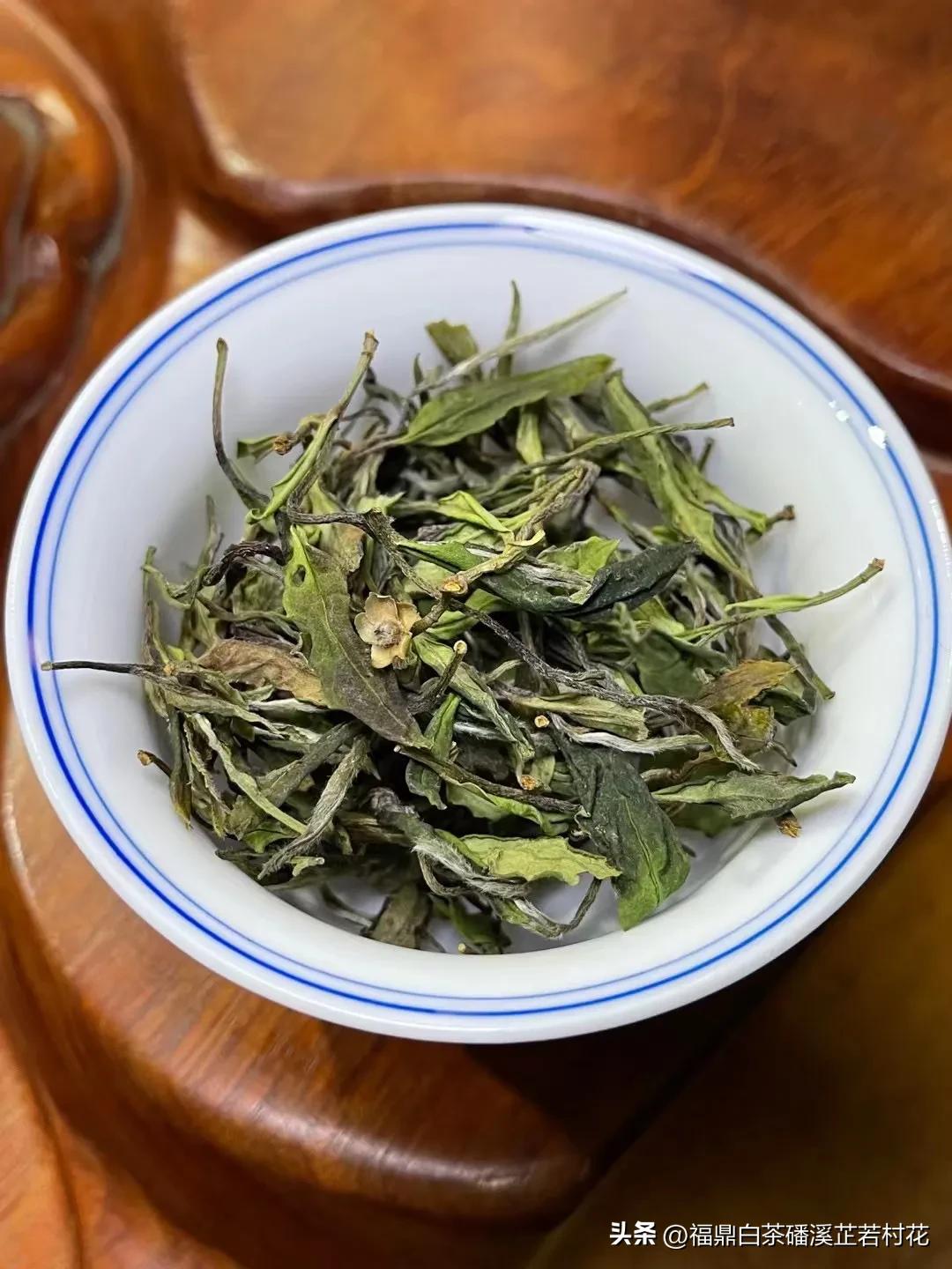 Do you understand the 4 questions about getting started with white tea ...