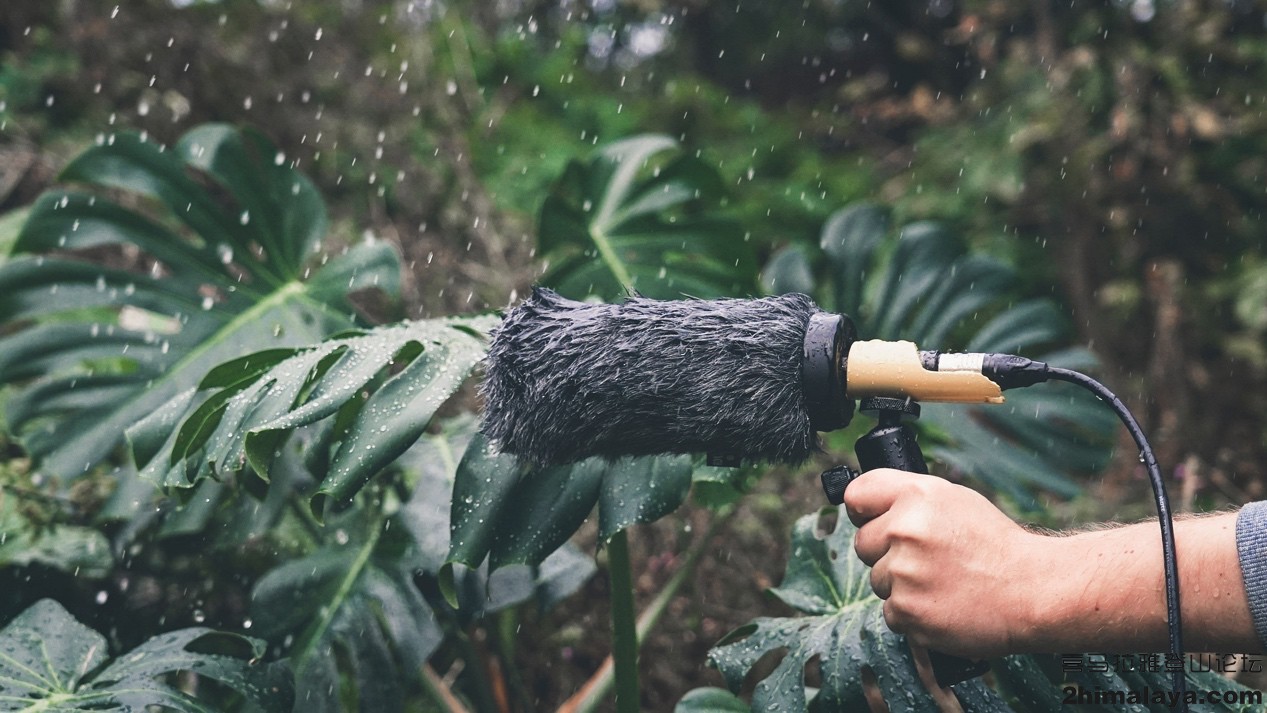 [WORLD] Plants 'cry' when stressed, new study shows - iMedia