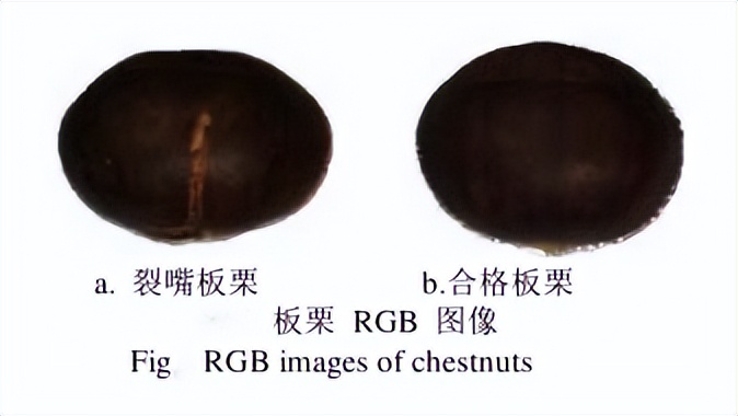 Using Hyperspectral Image Technology to Identify Chestnut with Split ...
