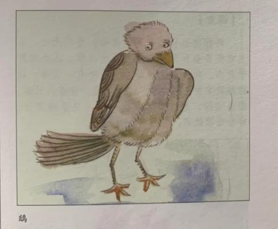 Do you know what animal Dijiang in Shanhaijing is in reality? - iNEWS