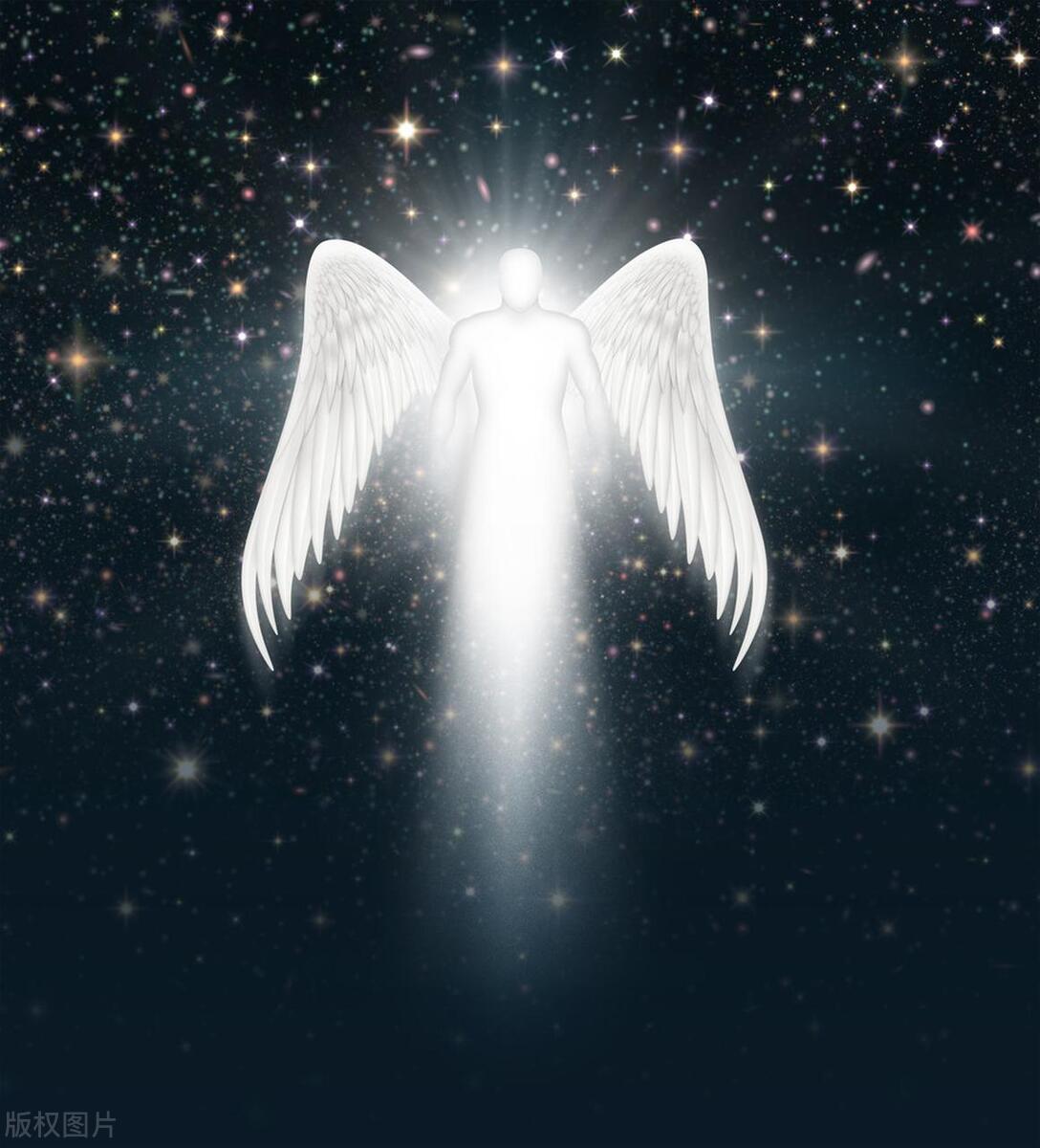 Angel Hair: A Journey to Solve the Mystery of a Mysterious Phenomenon ...