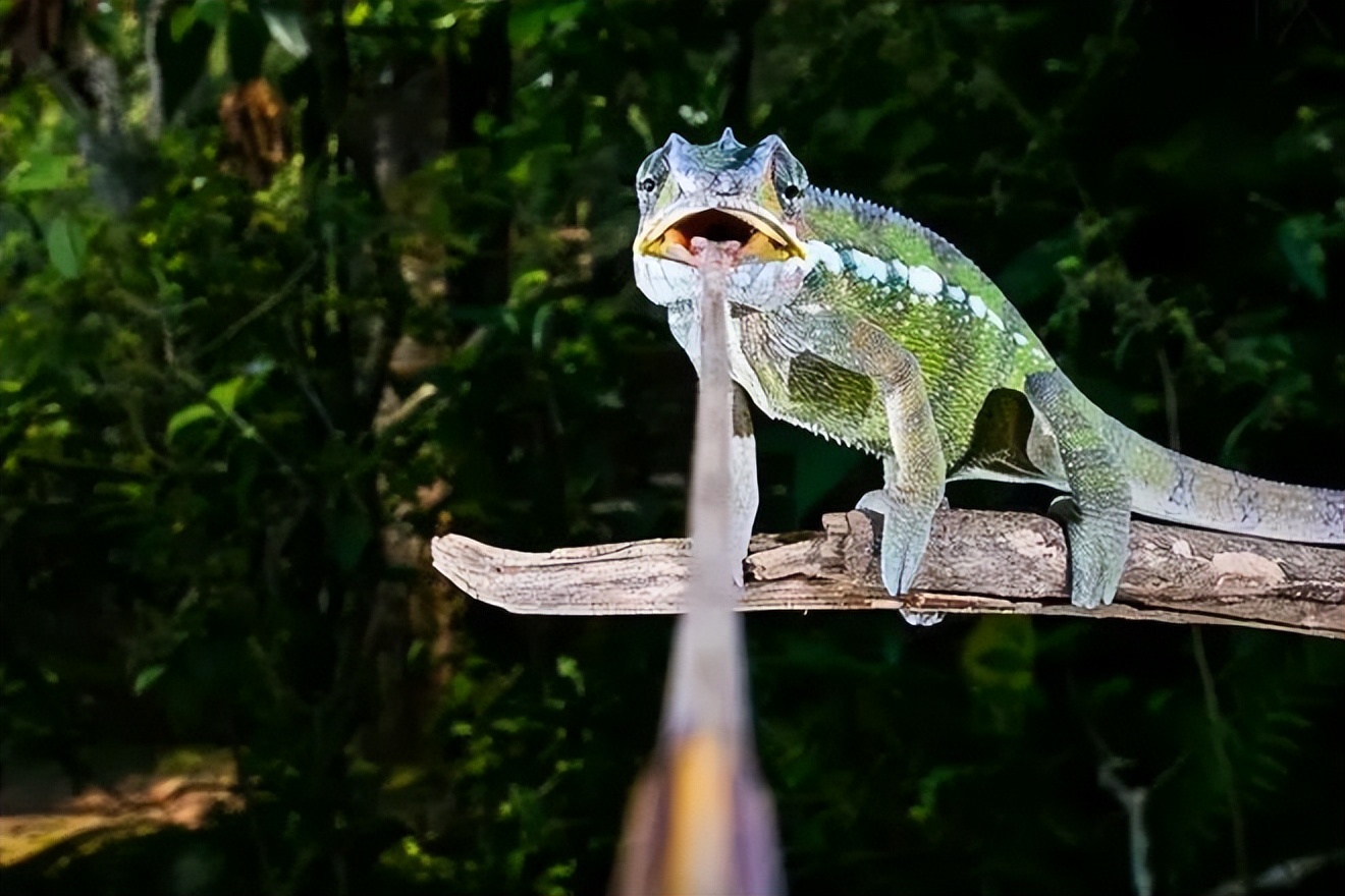 Knowledge and Words Unity Educational Photography Skills Sharing - iNEWS