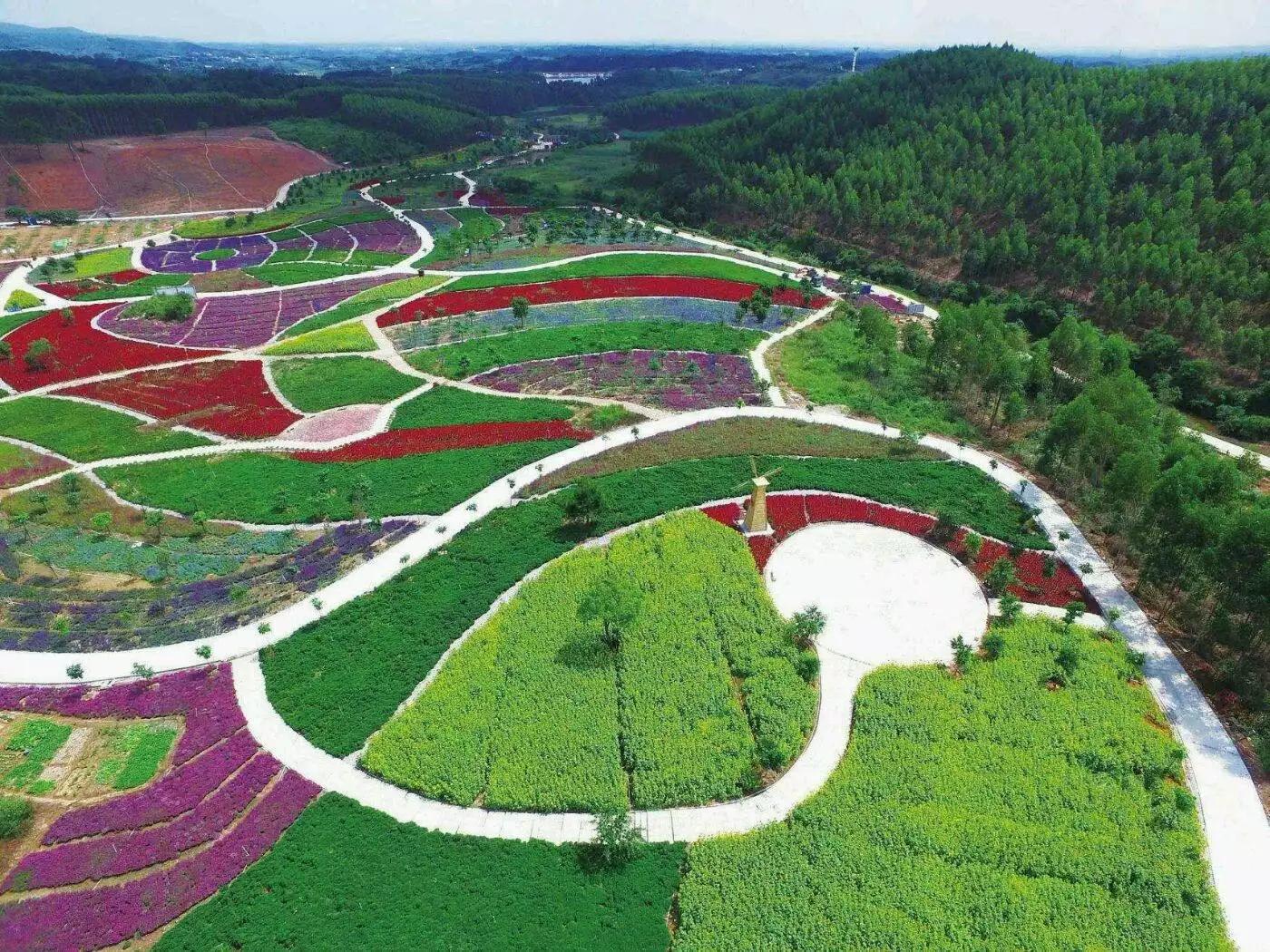 Huayu Lake, a place to enjoy flowers - iNEWS