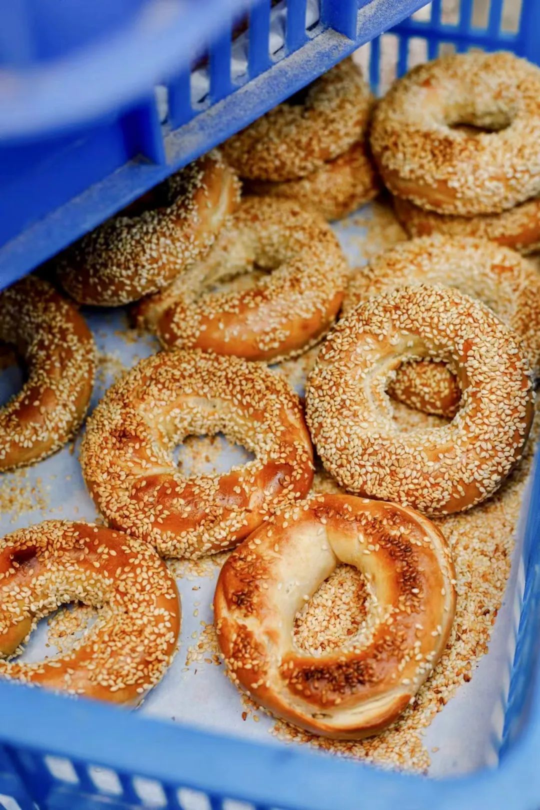 The introduction is late, the Beijing bagel map is here - iNEWS