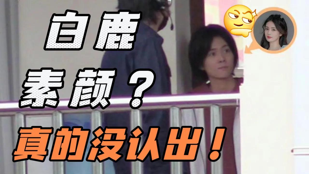Zhang Xiaohan said he didn't recognize Suyan Bailu: Why is her plain ...