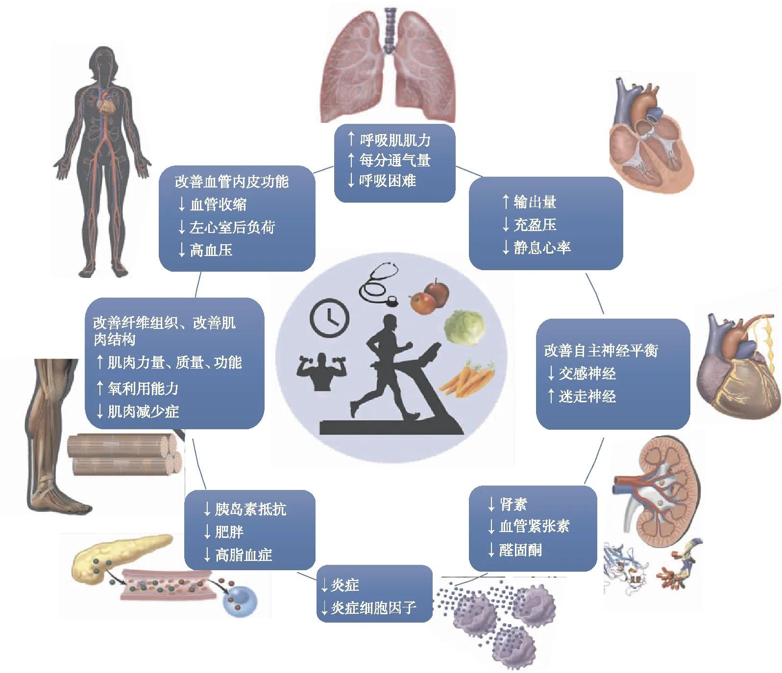 Interpretation of JACC expert consensus on cardiac rehabilitation for ...