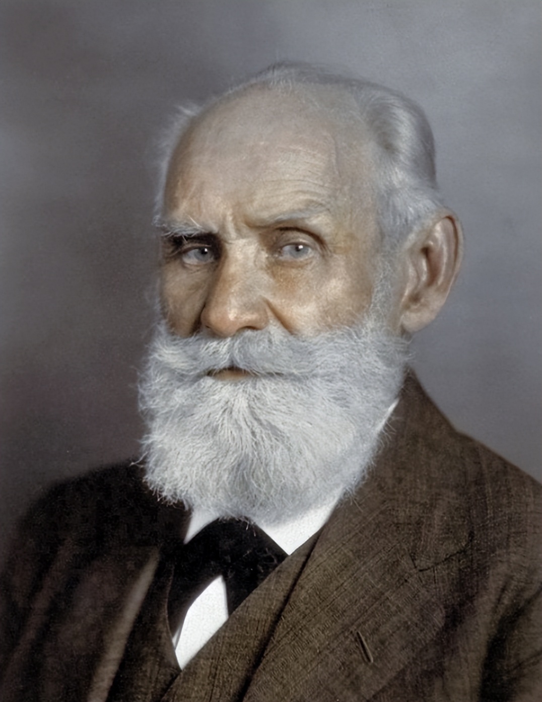 Pavlov's story - iNEWS