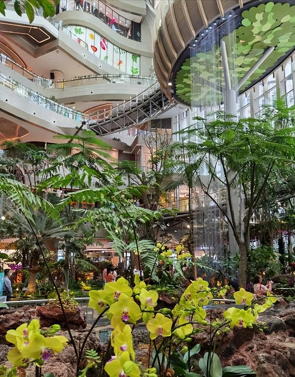 Forests grow in shopping malls, don't you think it's strange? The halo ...
