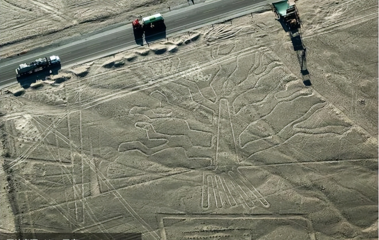 What role did the social structure of the Nazca civilization play in ...