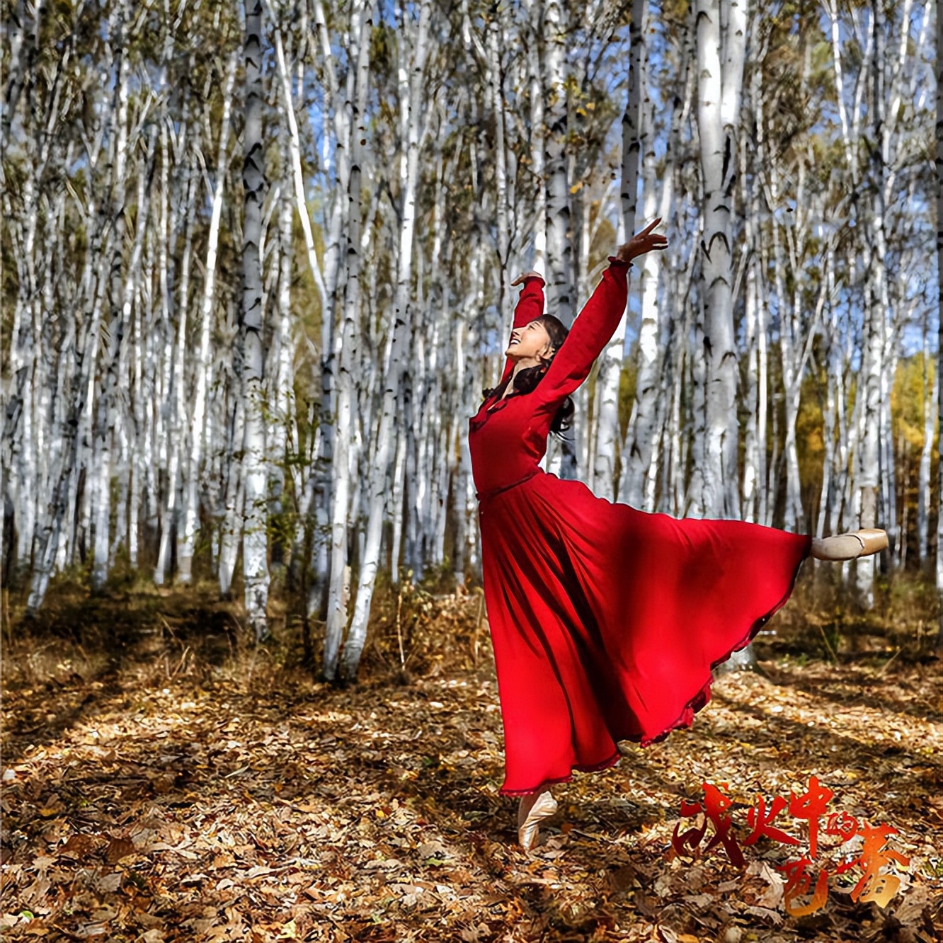 Cao Shuci's "Ballet in War": The Cruel War Behind the Love Tragedy of ...