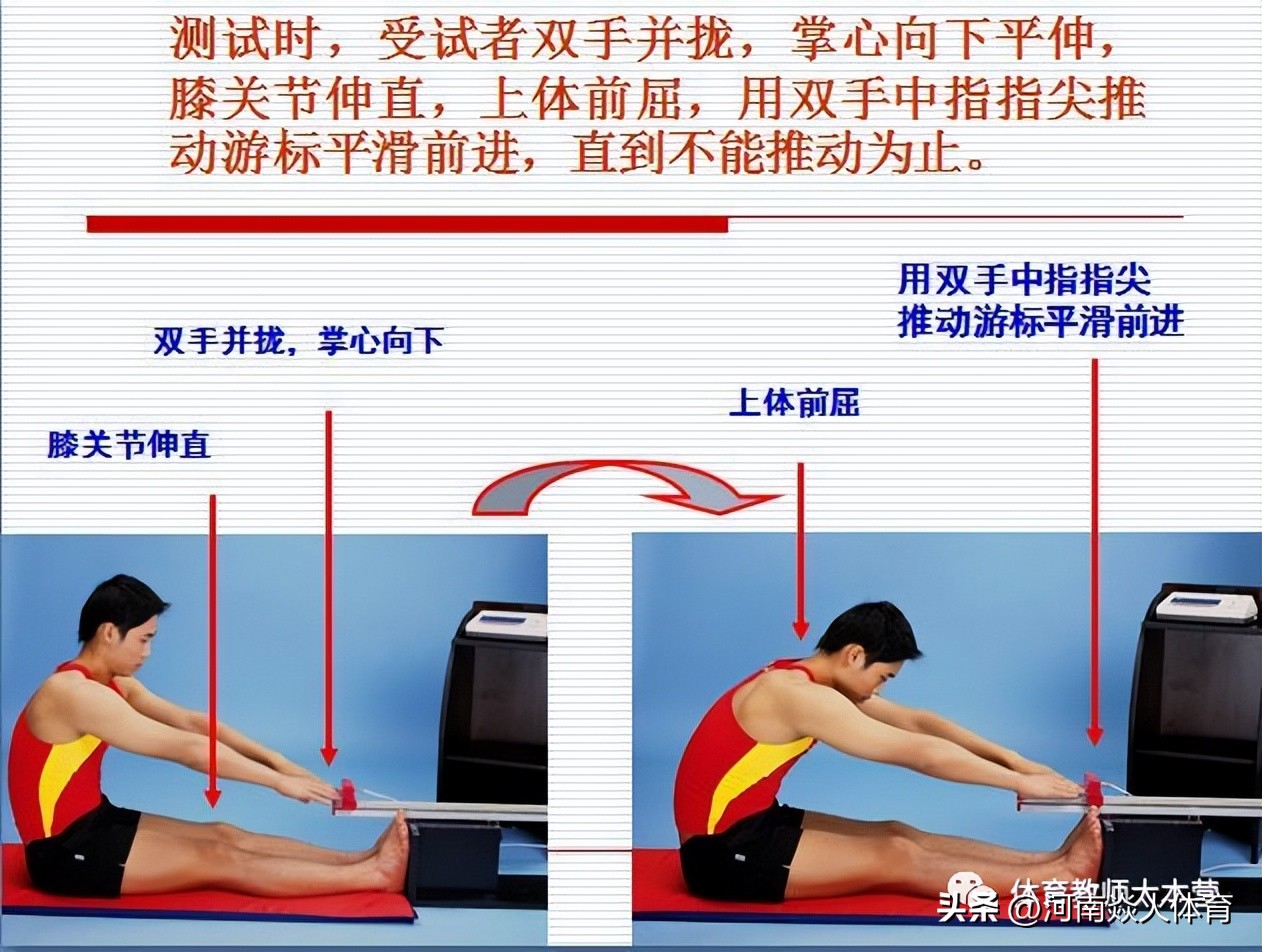 Sitting forward flexion, is high flexibility enough? - iNEWS