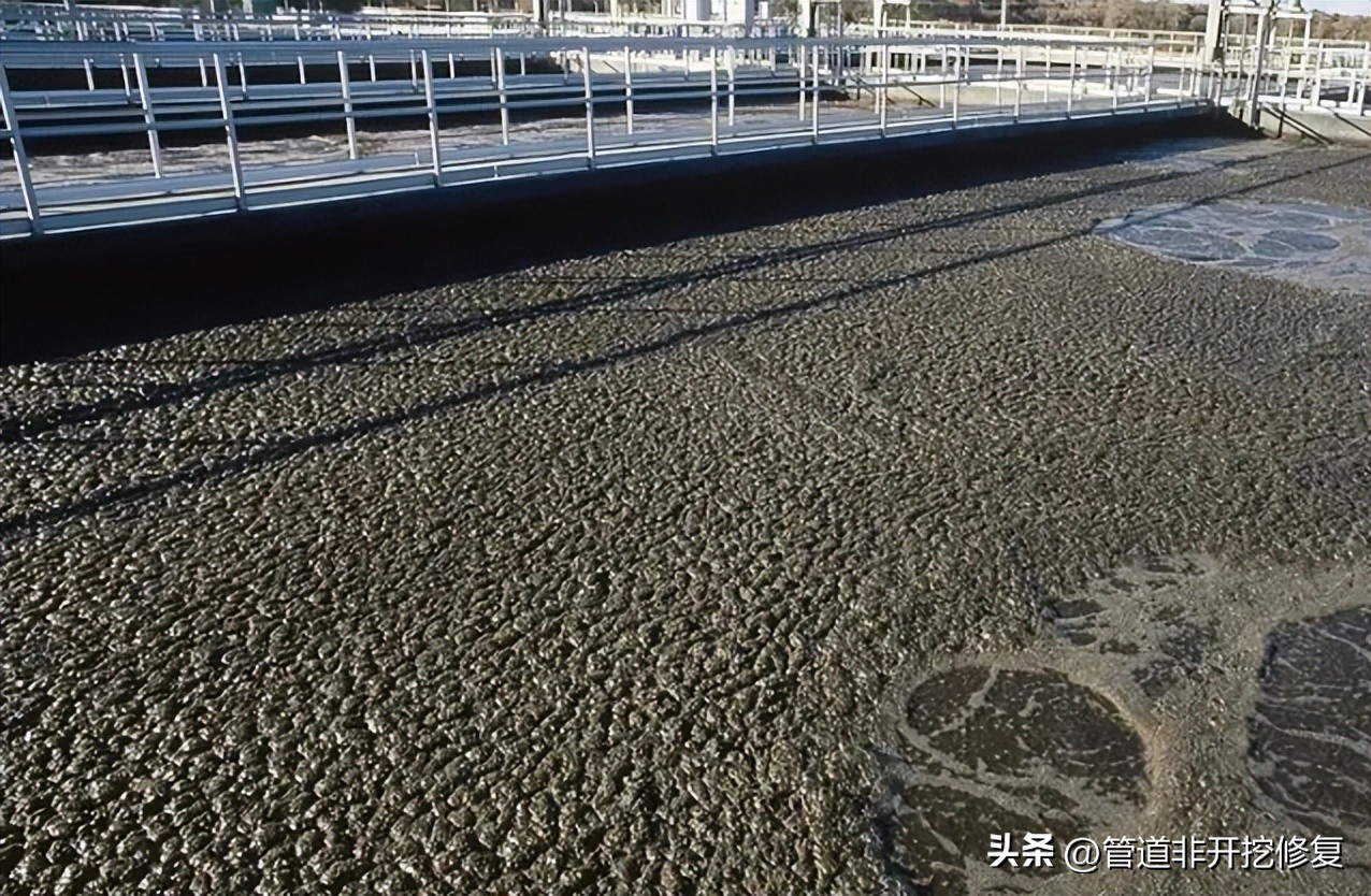 New Development of EBPR Mechanism Enhanced by Activated Sludge ...