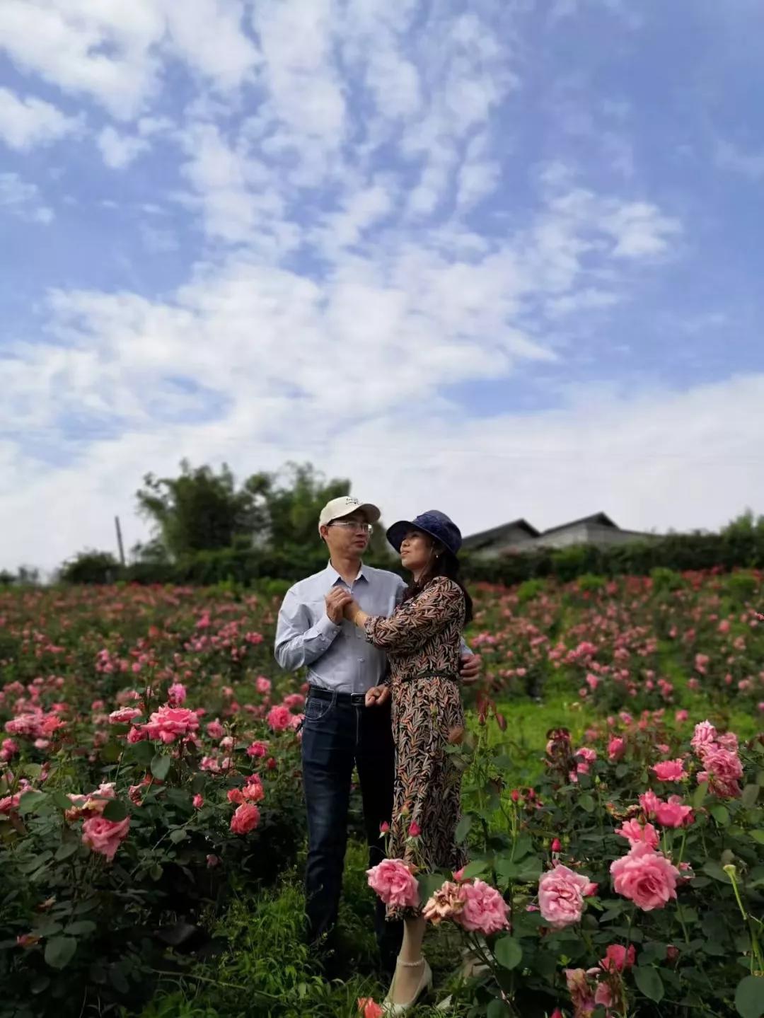 Million Rose Growing Garden - iNEWS