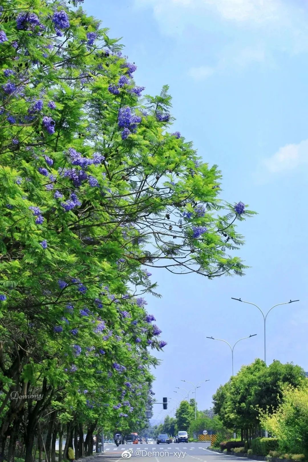 Beautiful! The "blue" friends of Chengdu people know romance! - iNEWS