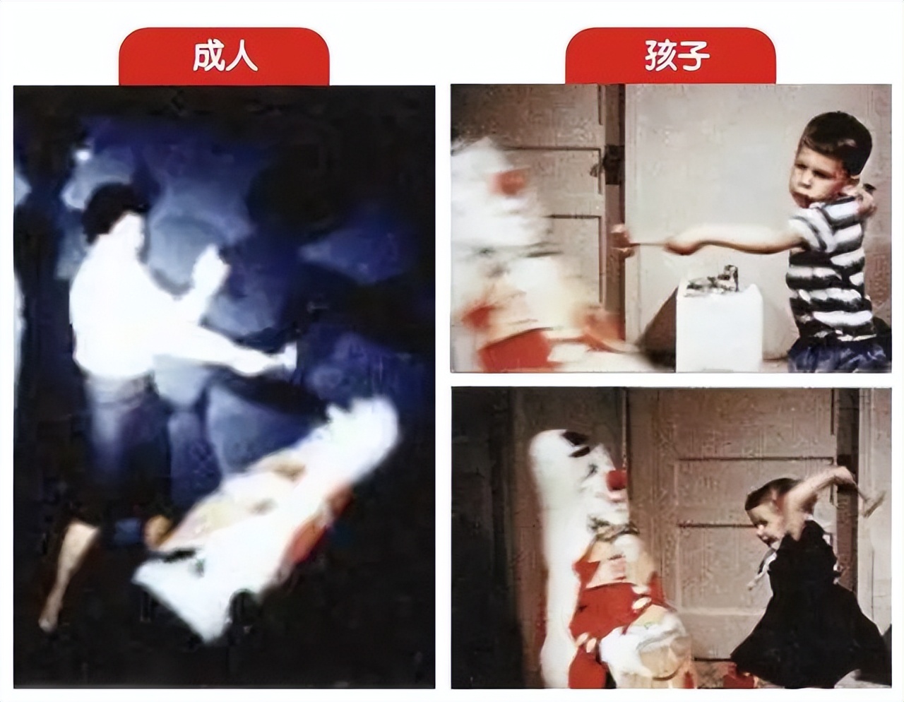 Tutor by example and Bobo doll experiment (Part 1) - iNEWS