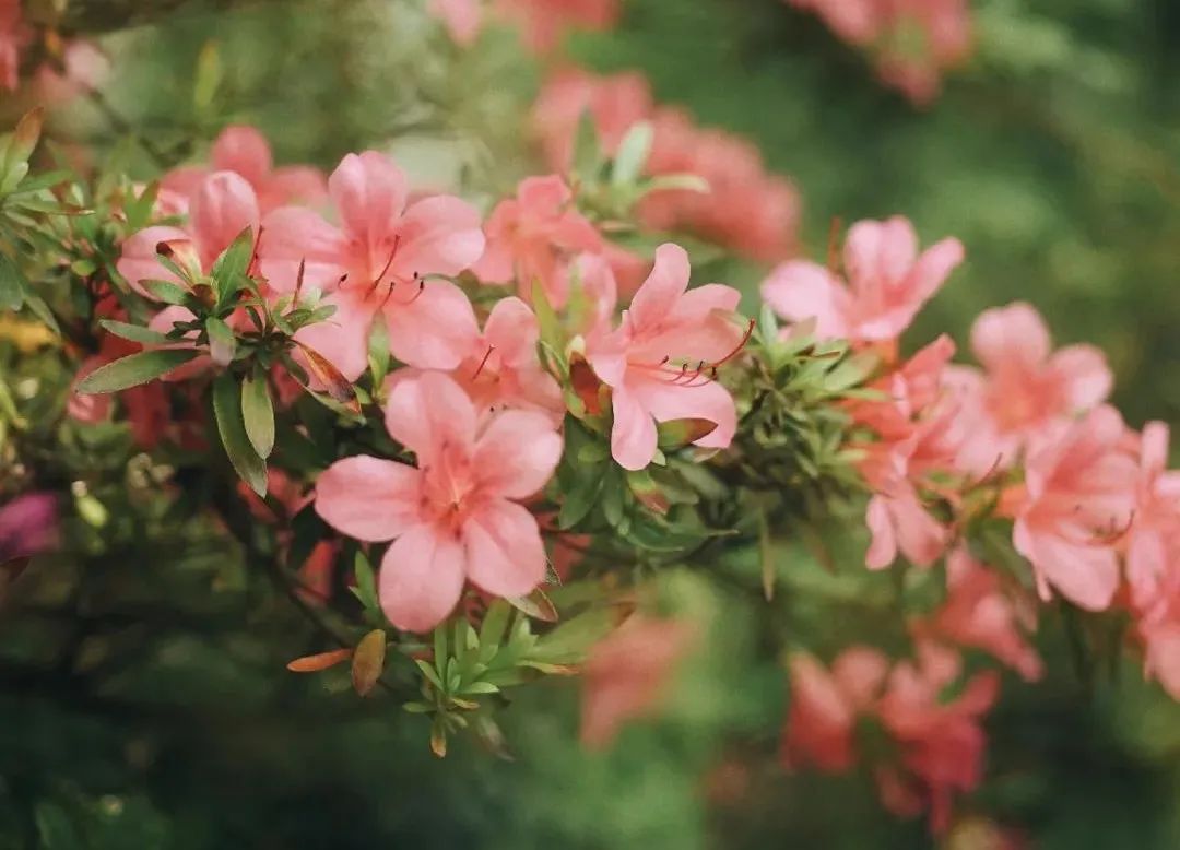 The 40 most beautiful lines in poetry - iNEWS