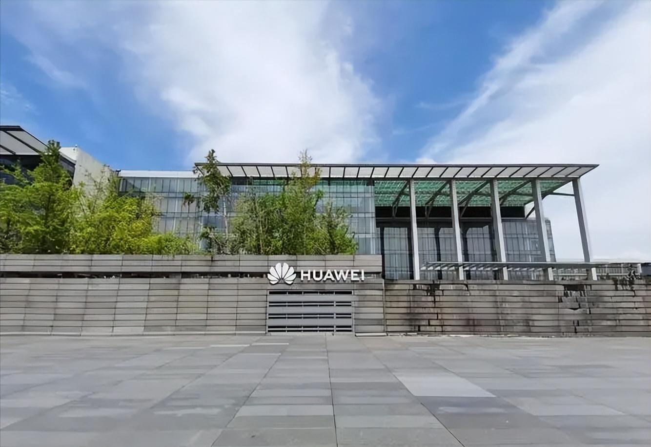 Zhang Zhimin: Daolang, Huawei's counterattack and medical anti ...