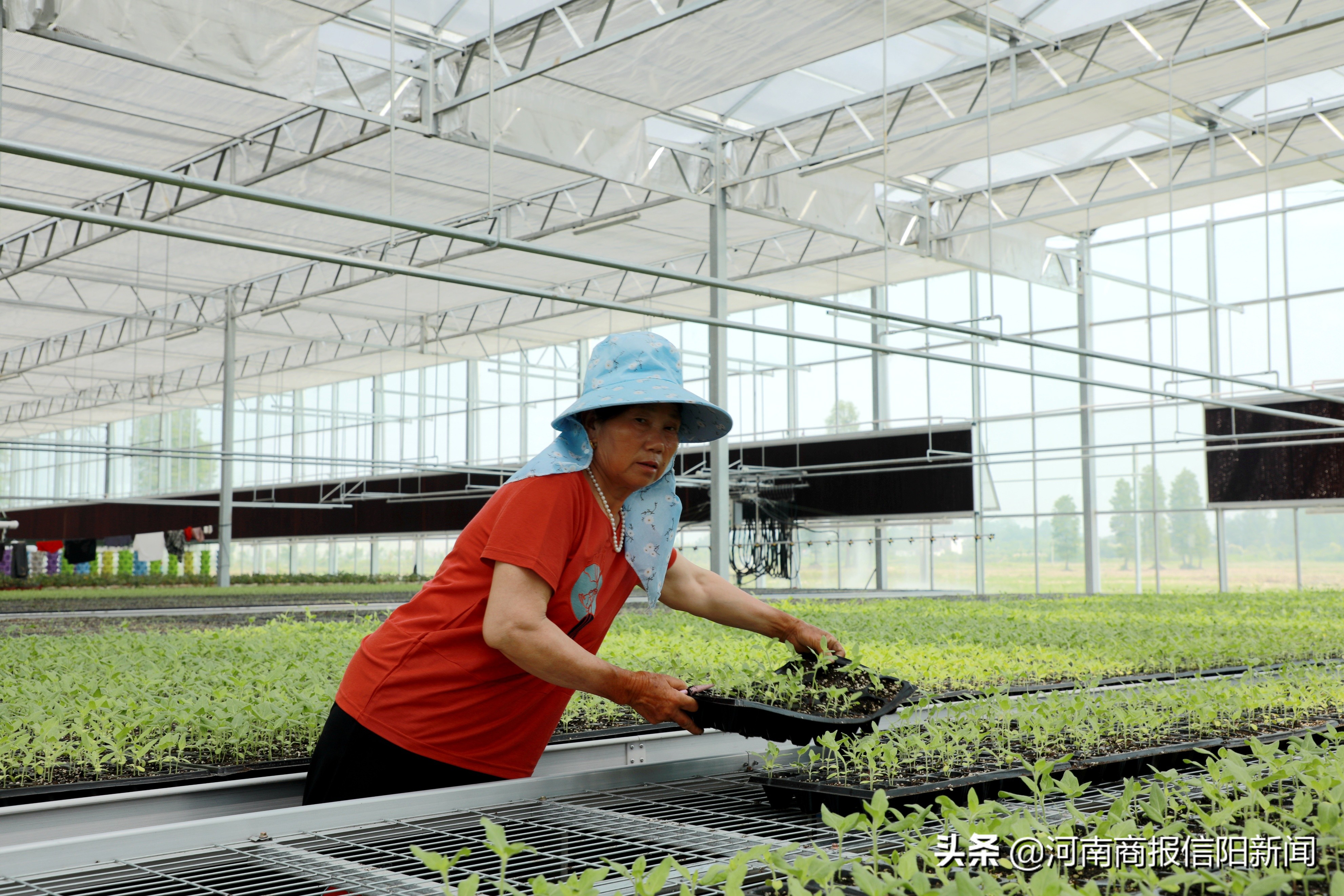 Xinyang Pingqiao: 5G Smart Greenhouse, Vegetable Greenhouse, Melons and ...