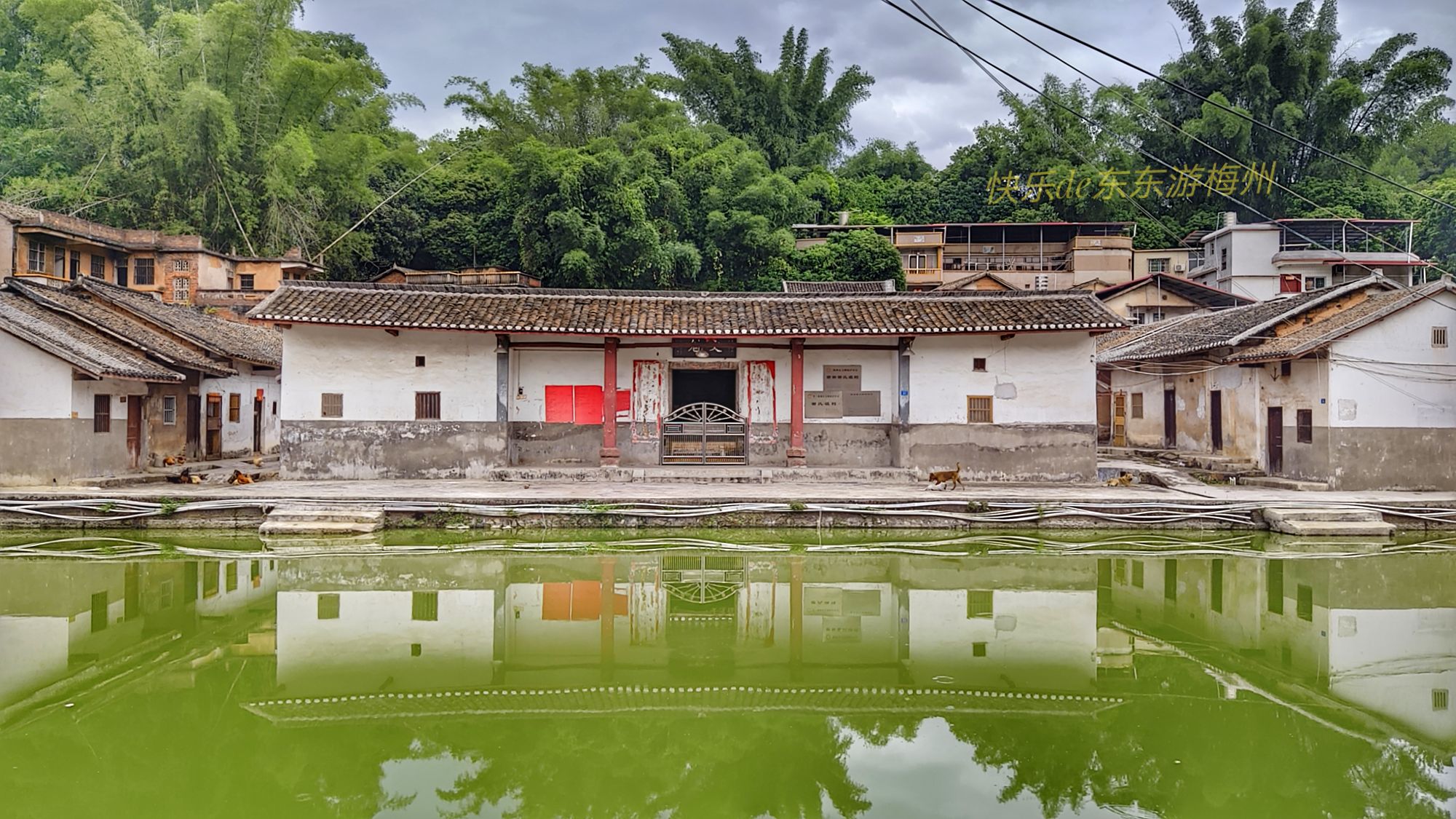 Tourists surround the Dragon House, don't foolishly regard "Sai Jinshi ...